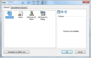 How To Create A Worksheet In MS Excel 2010 | Clarified.com