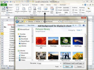 How To Set Background In MS Excel 2010 | Clarified.com