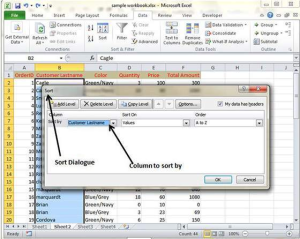 How To Perform Data Sorting In Excel 2010 | Clarified.com