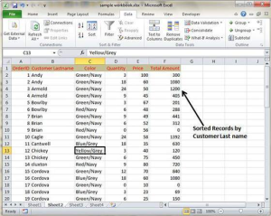 How To Perform Data Sorting In Excel 2010 | Clarified.com