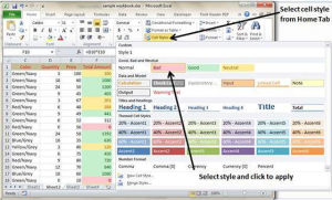 How To Use Styles In MS Excel 2010 | Clarified.com